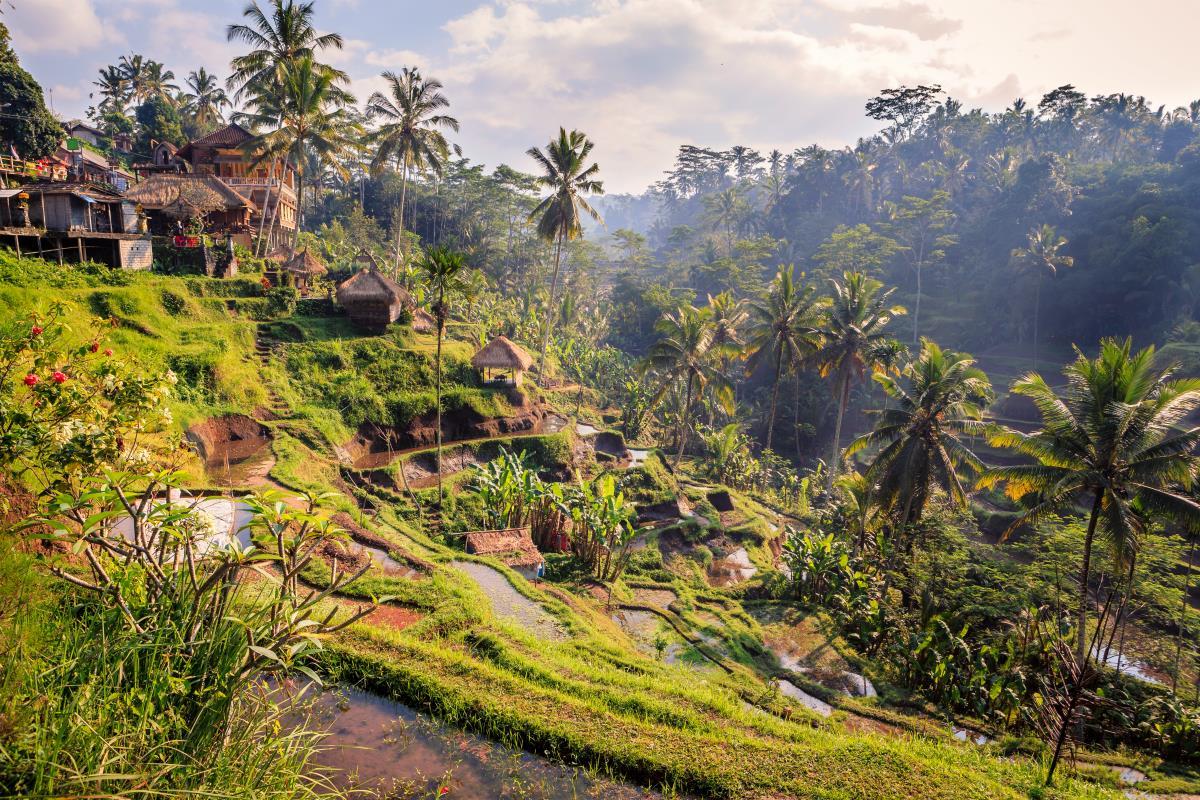 Ubud – wakacje, atrakcje, pogoda. Co warto zobaczyć? Przewodnik na wyjazd.