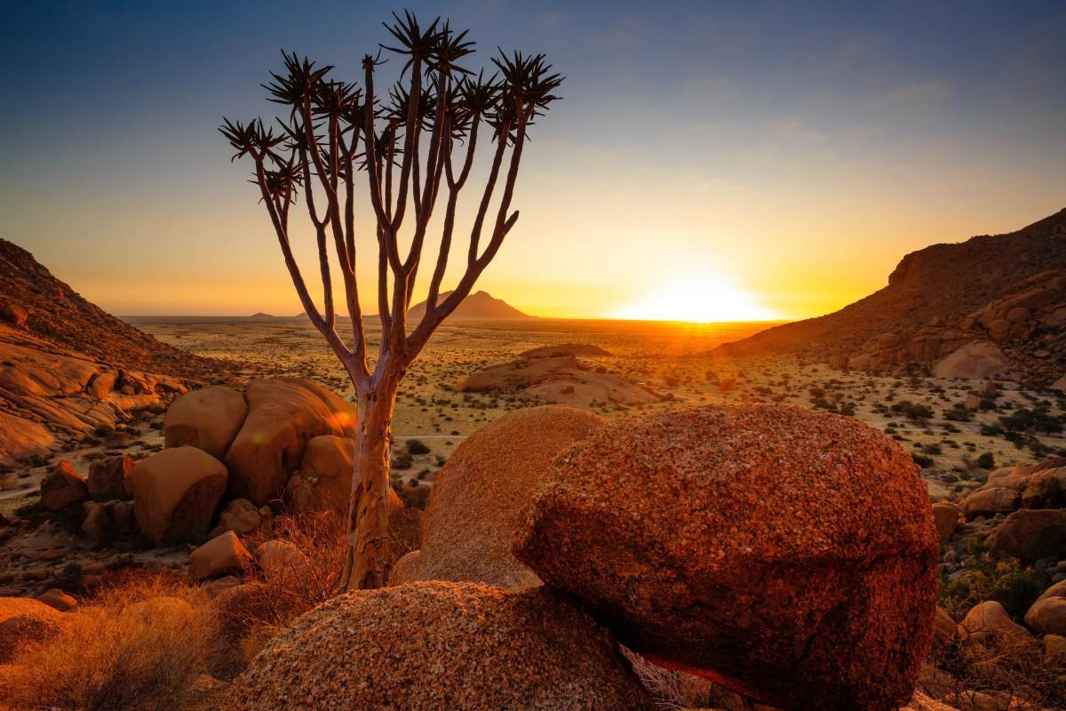 Damaraland - Namibia, Himba, flora