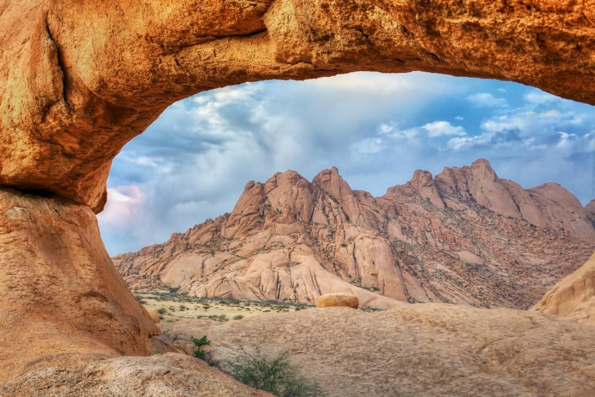 Damaraland - Namibia, Himba, flora