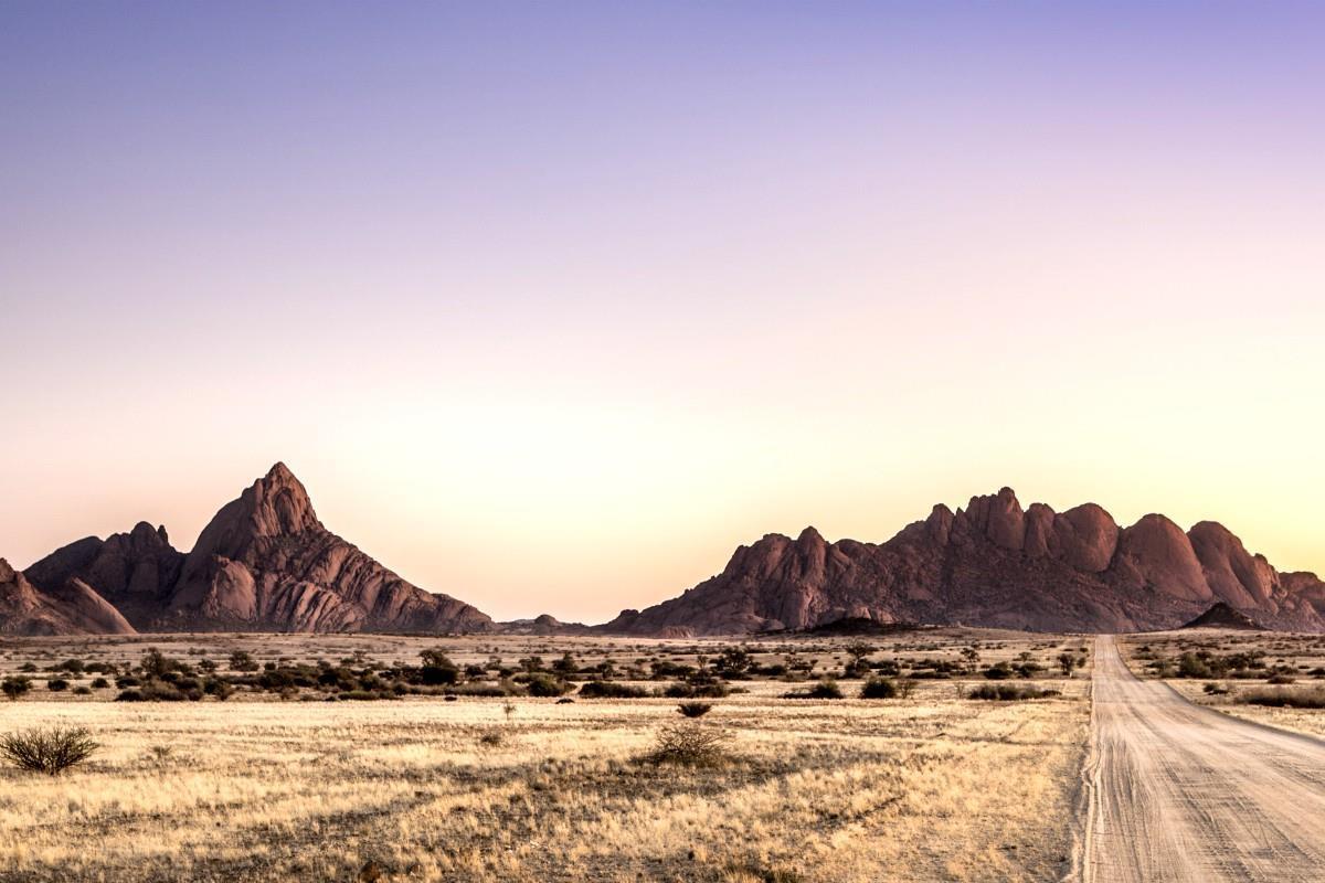 Damaraland - Namibia, Himba, flora
