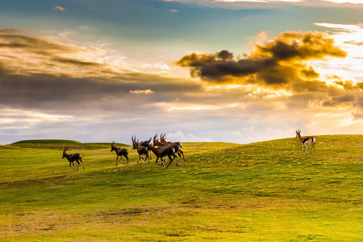 Góry Smocze - położenie, wycieczka, trekking