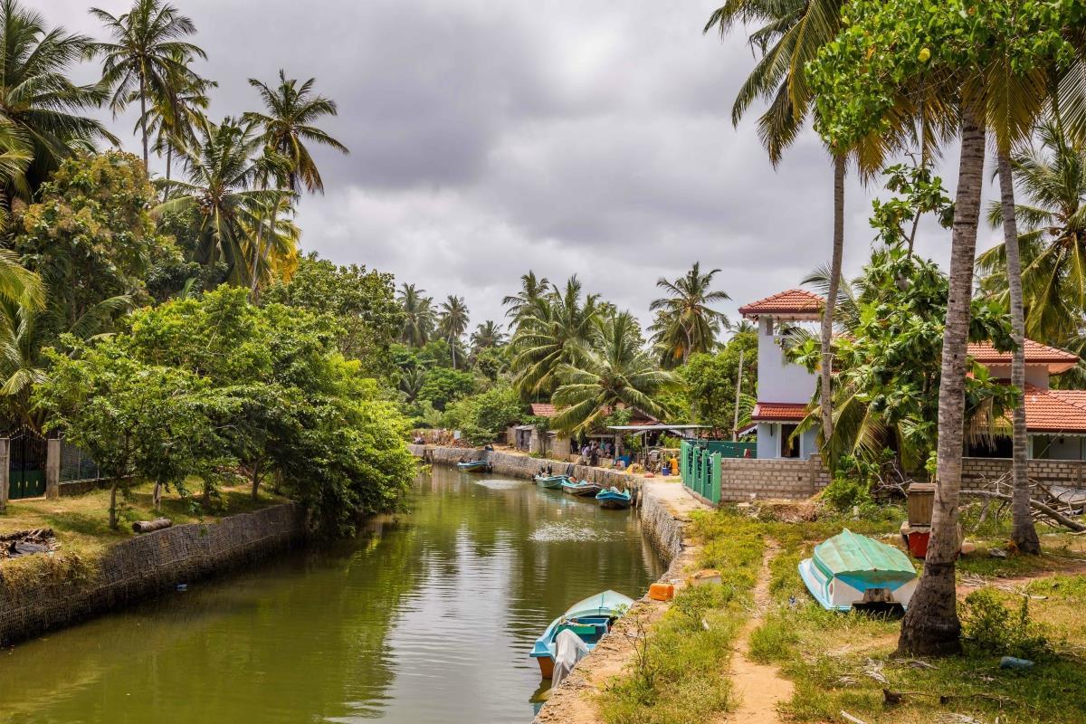 Sri Lanka - Negombo - Planet Escape