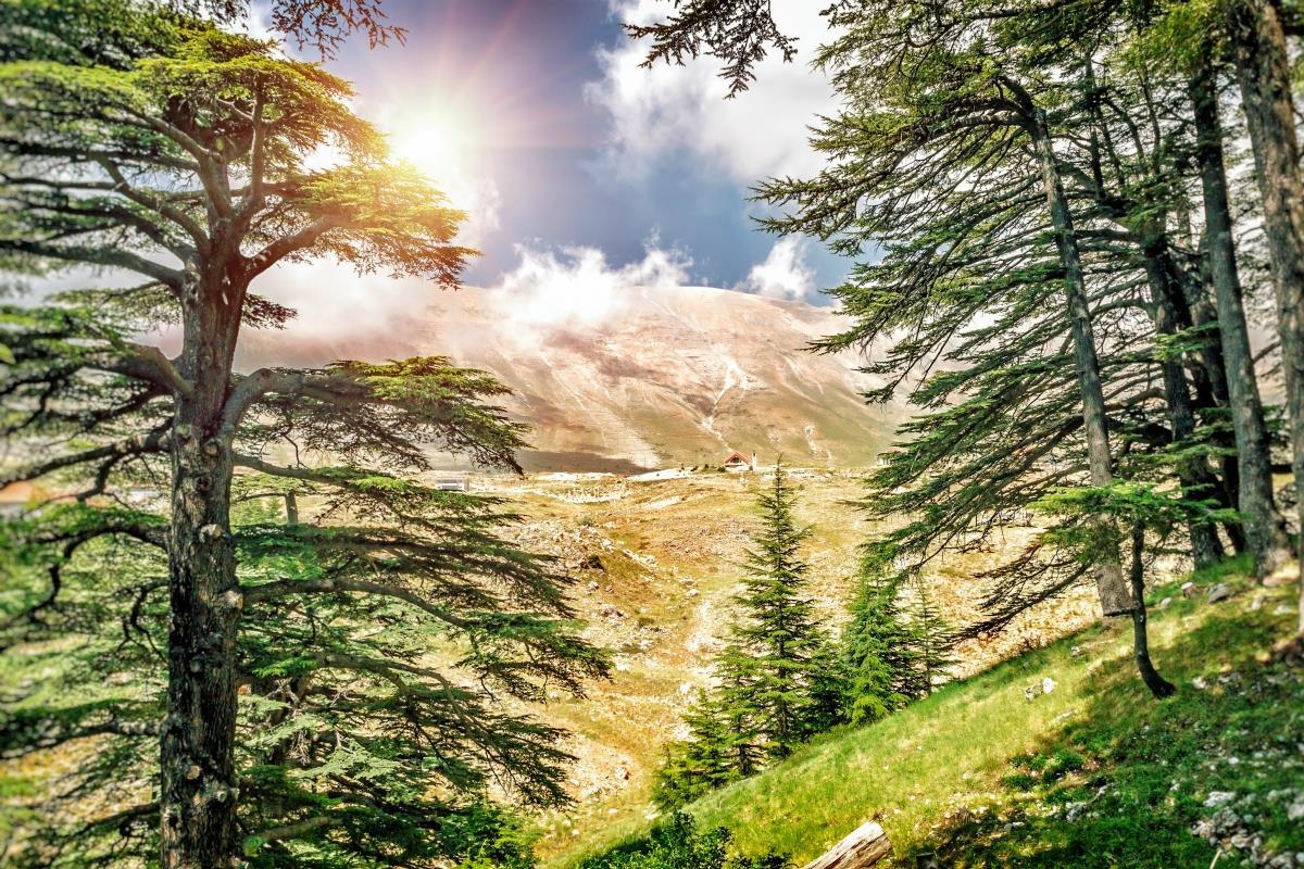 Liban - Góry Shouf - Planet Escape