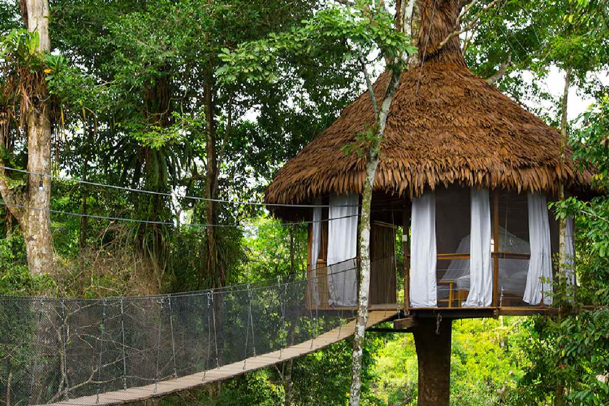 Peru (Iquitos) – Treehouse Lodge Amazon - Planet Escape