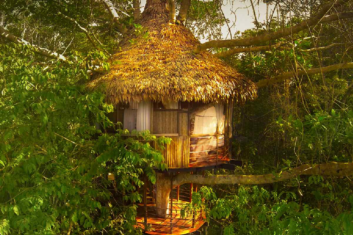 Peru (Iquitos) – Treehouse Lodge Amazon - Planet Escape