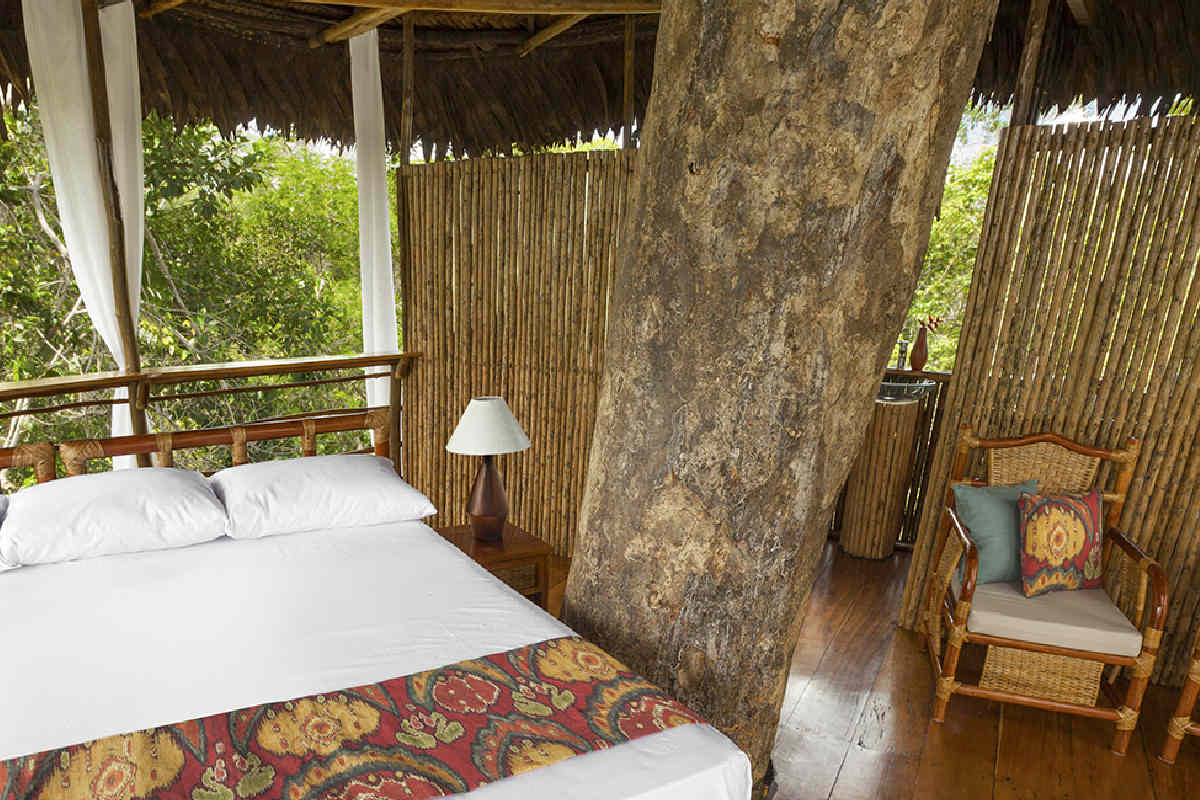 Peru (Iquitos) – Treehouse Lodge Amazon - Planet Escape