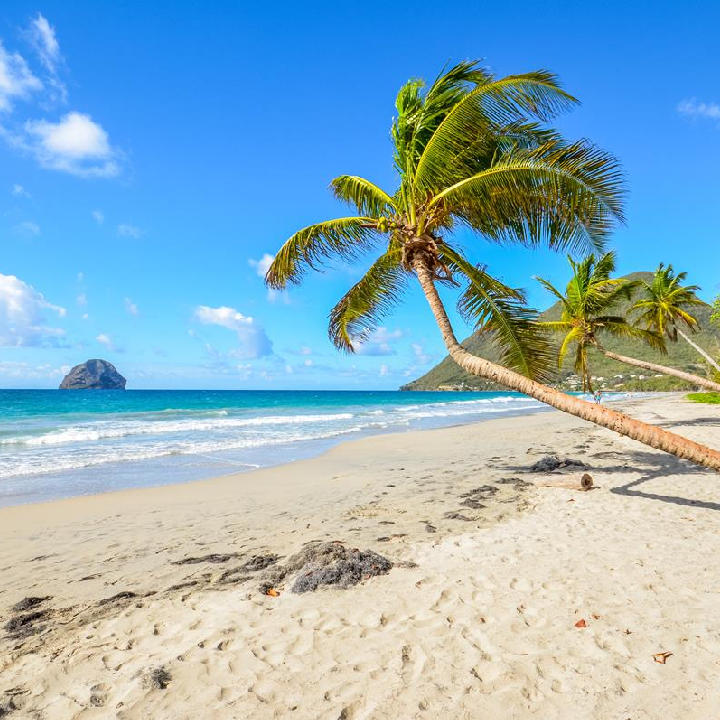 Martynika - wakacje, wczasy, wycieczki z Planet Escape