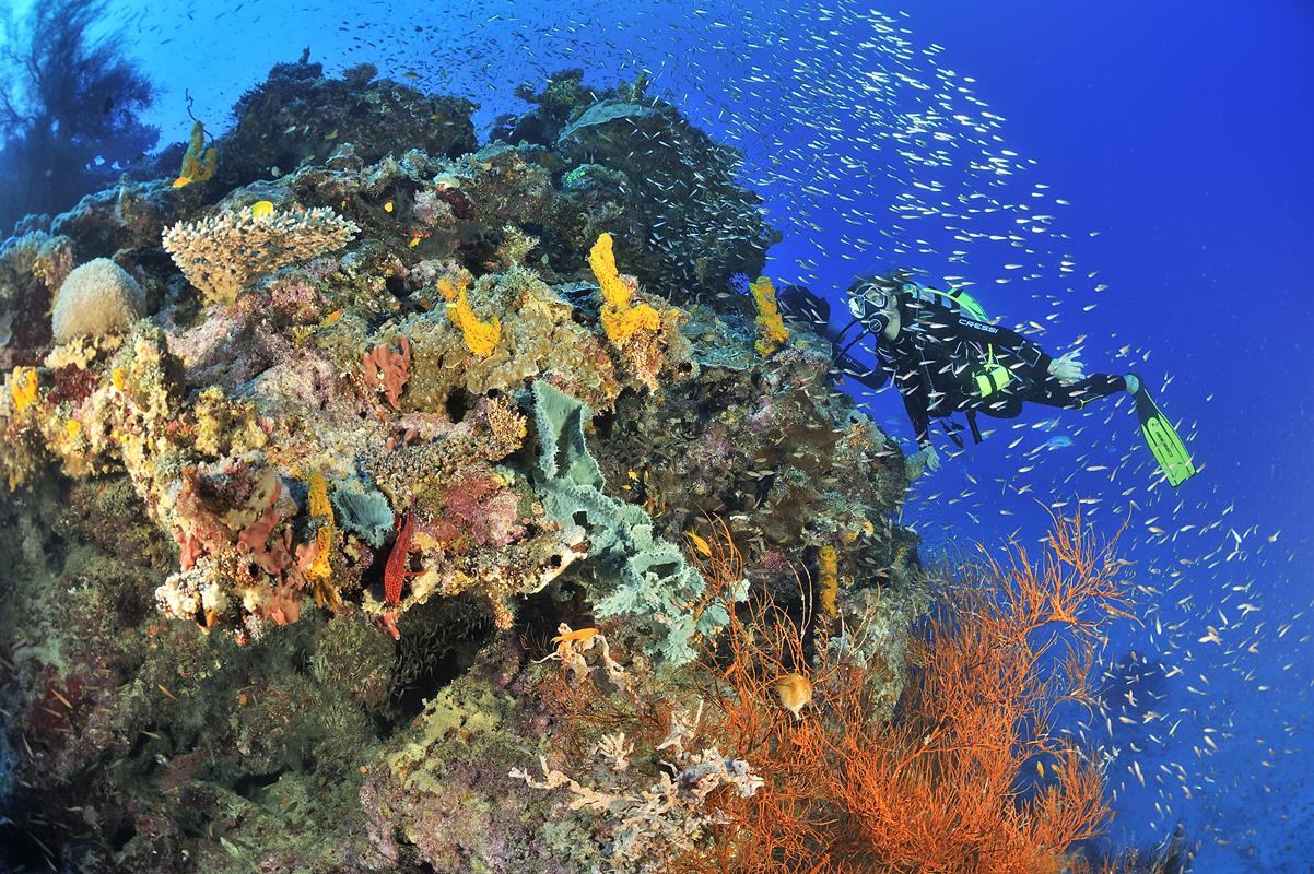 Komory - wakacje, wczasy, wycieczki z Planet Escape