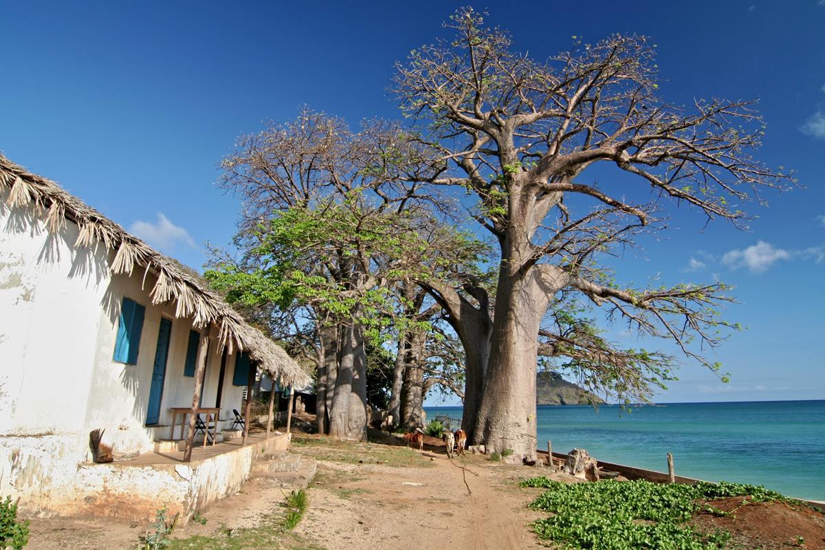 Comoros – the mysterious Perfume Islands. What to see and when to go?