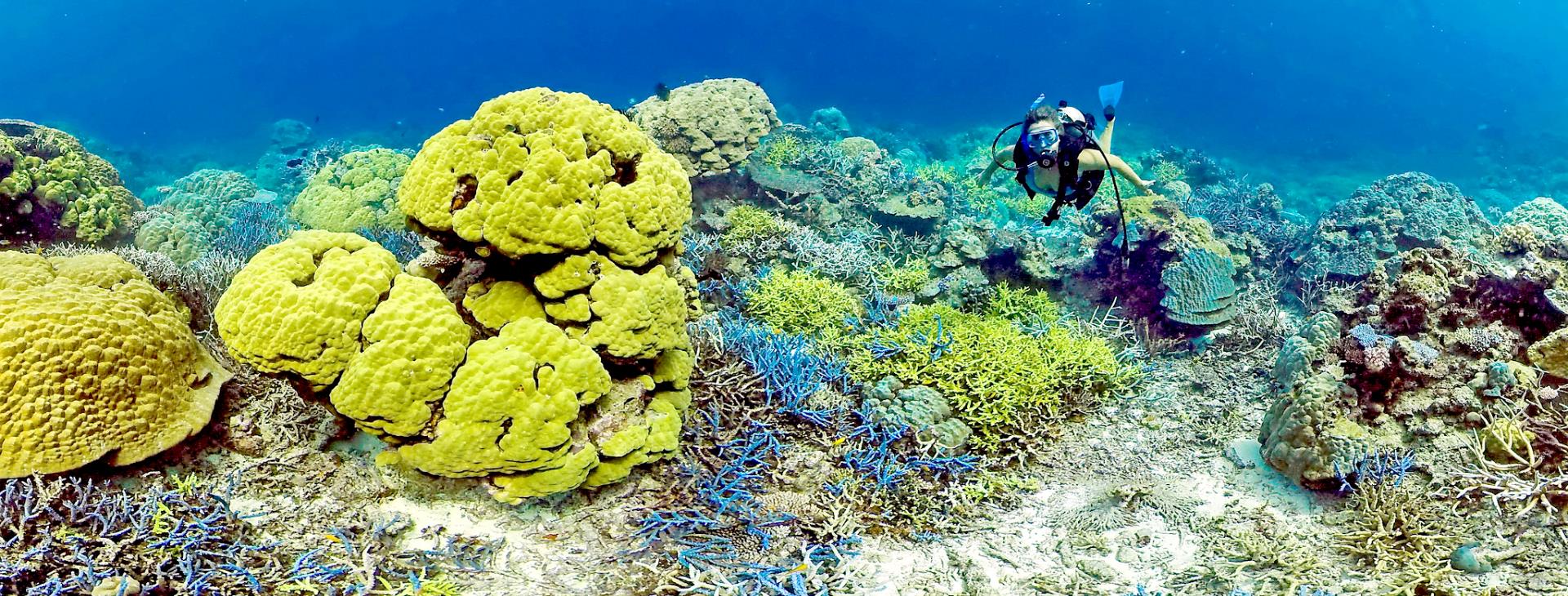 TOP 5 - The best diving spots in the world - Planet Escape Travel Blog