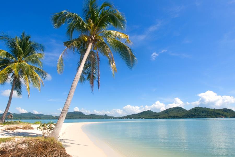 Szczepienia przed podróżą do Tajlandii – zalecenia i wymagania - Blog ...