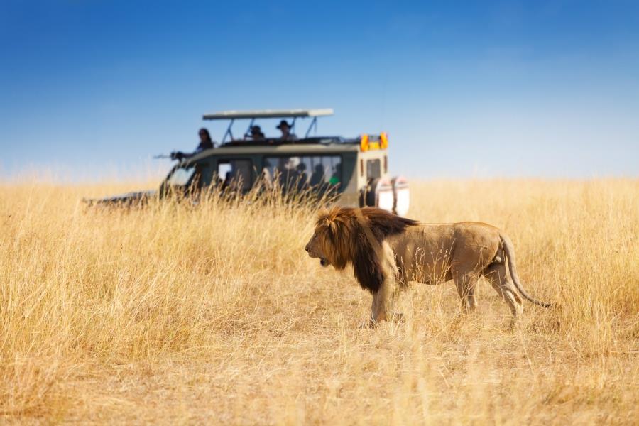 Najlepsze miejsca na safari w Afryce. Co warto zobaczyć, jak się ... Najlepsze miejsca na safari w Afryce. Co warto zobaczyć, jak się ...