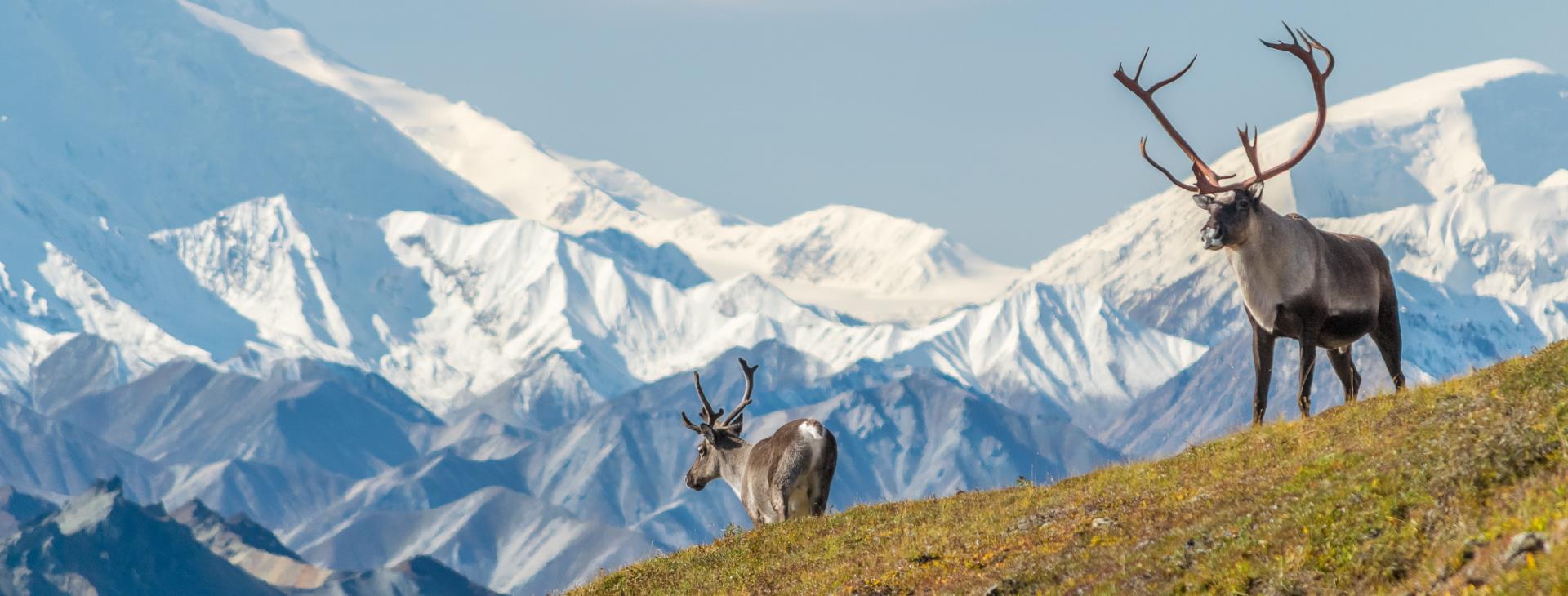 Pogoda i temperatury na Alasce – kiedy jechać na wakacje? - Blog ...