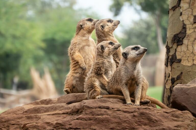 Where to go on holiday abroad in 2026? Interesting ideas for a trip ...