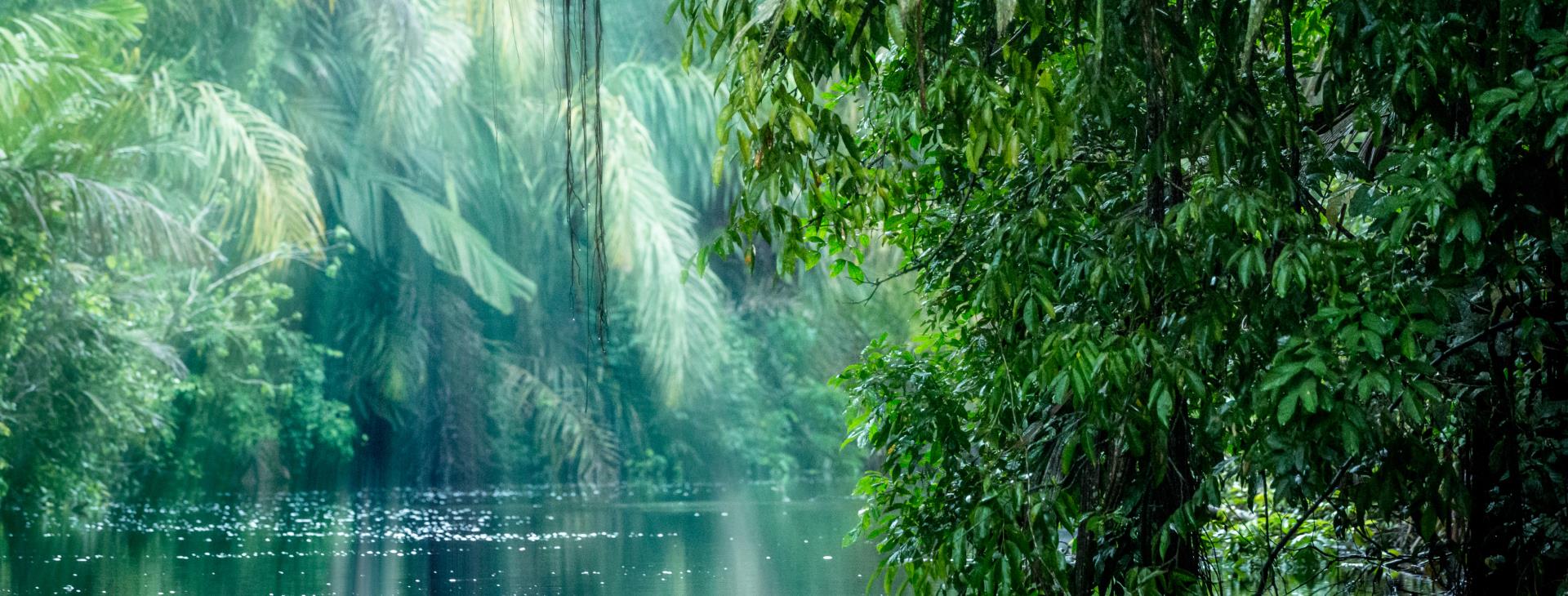 Wakacje w Kostaryce: przewodnik po najciekawszych atrakcjach dla dzieci ...