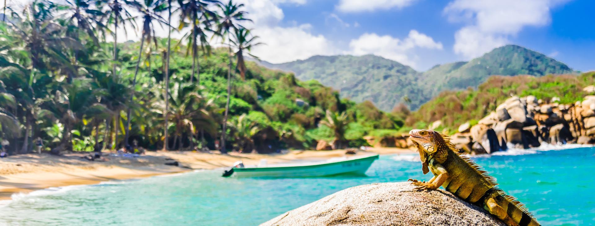 Najpiękniejsze plaże w Kolumbii - które warto odwiedzić? - Planet Escape