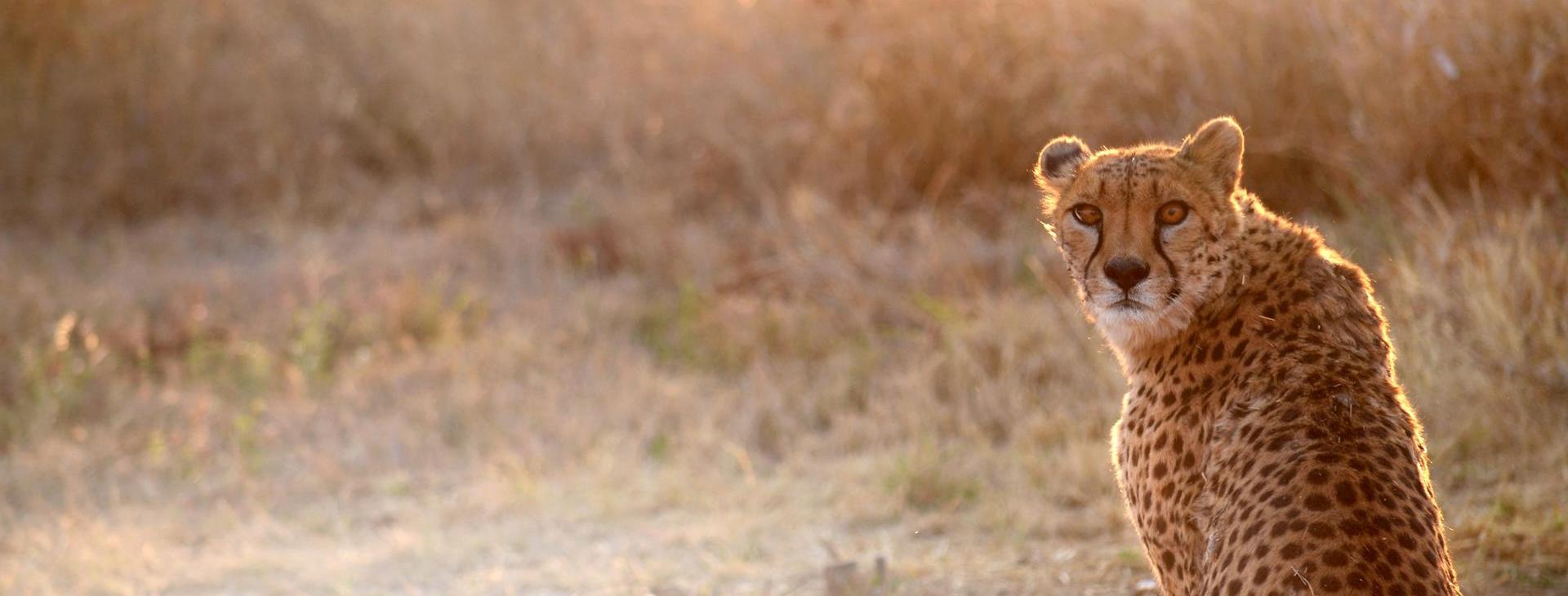 How long is the flight to Namibia? How long does it take to fly to ...